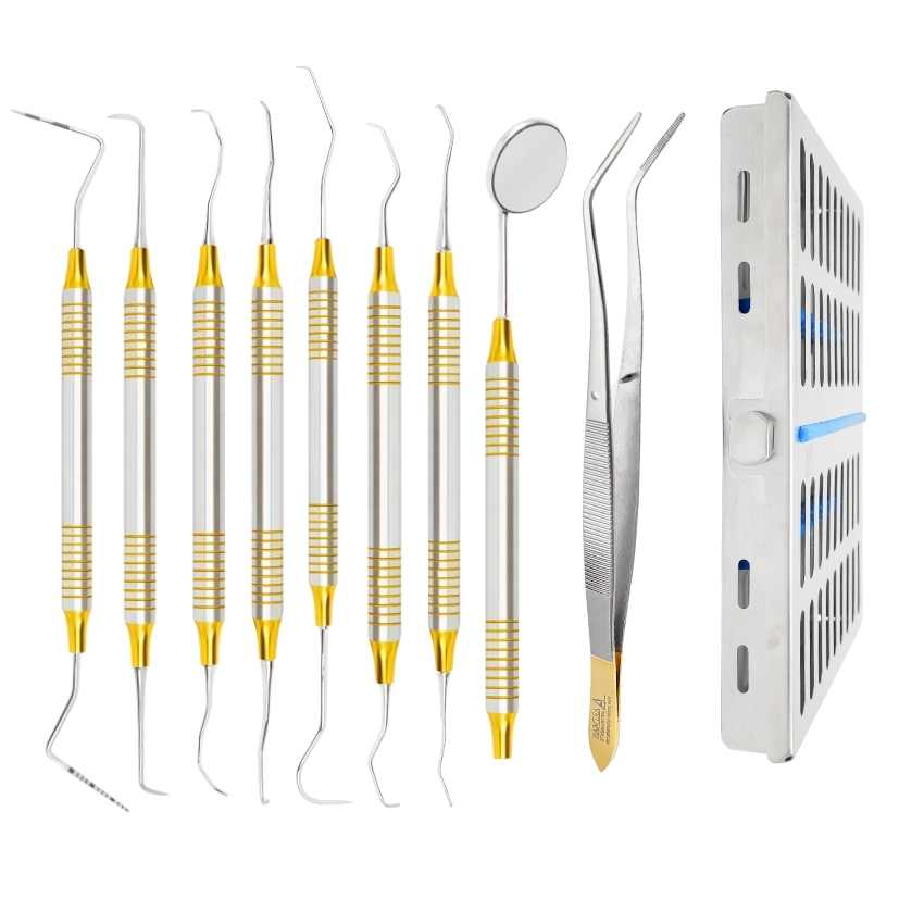 Dental Hygienist Instruments Tool Kit | Professional Cleaning Set ...