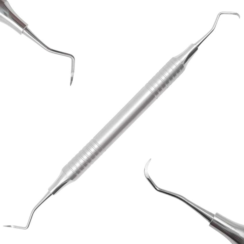 Sickle Scaler 204S Double Ended Dental & Veterinary Hygiene Instrument ...