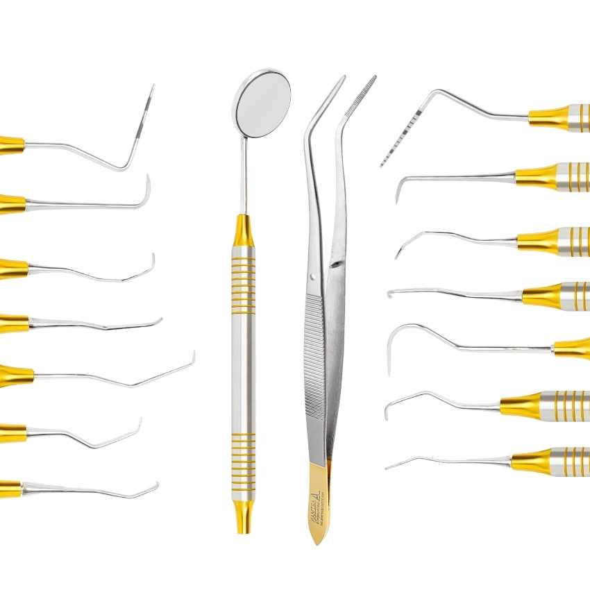 Dental Hygienist Instruments Tool Kit | Professional Cleaning Set ...