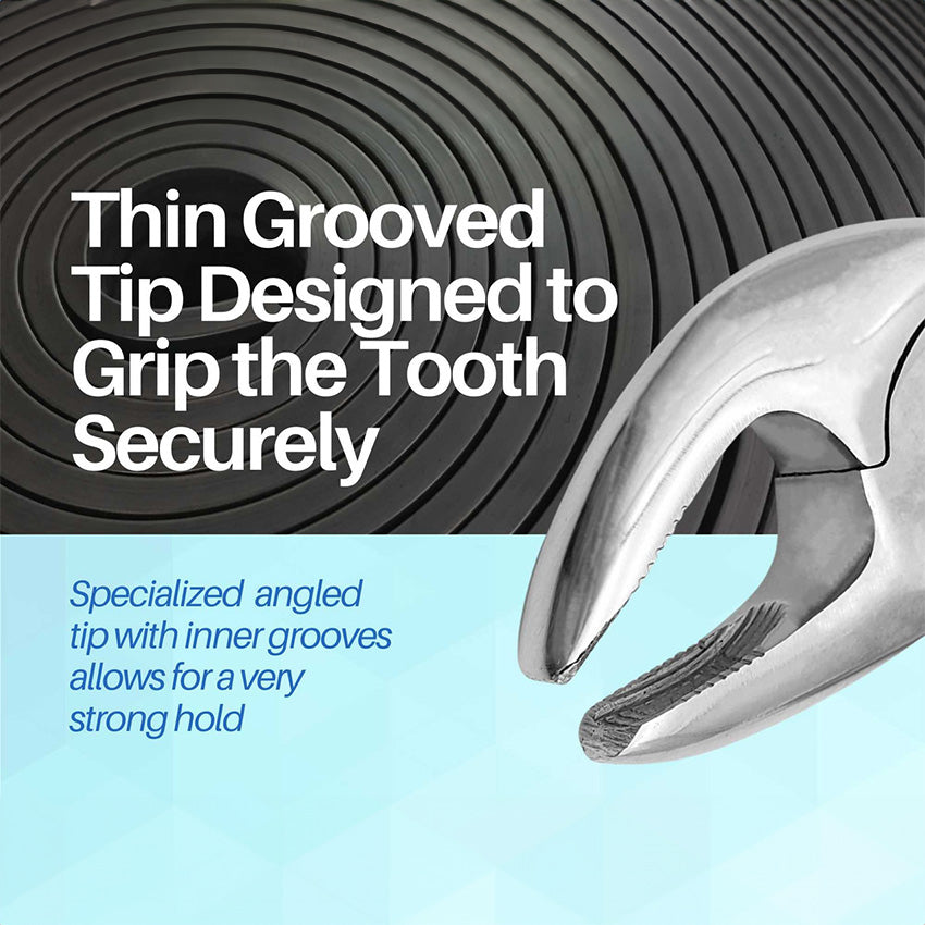 Dental Extraction Forceps #13 for Lower Anterior | Artman Instruments