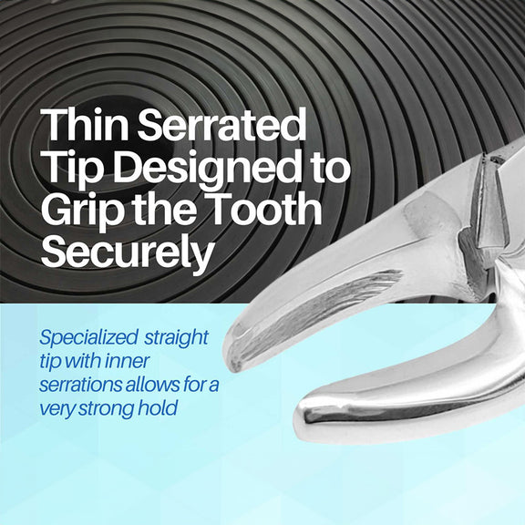 Dental Extraction Forceps #150 by Artman Instruments