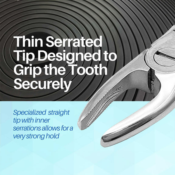 Dental Extraction Forceps #1 Upper Straight Wide Tip | Artman Instruments