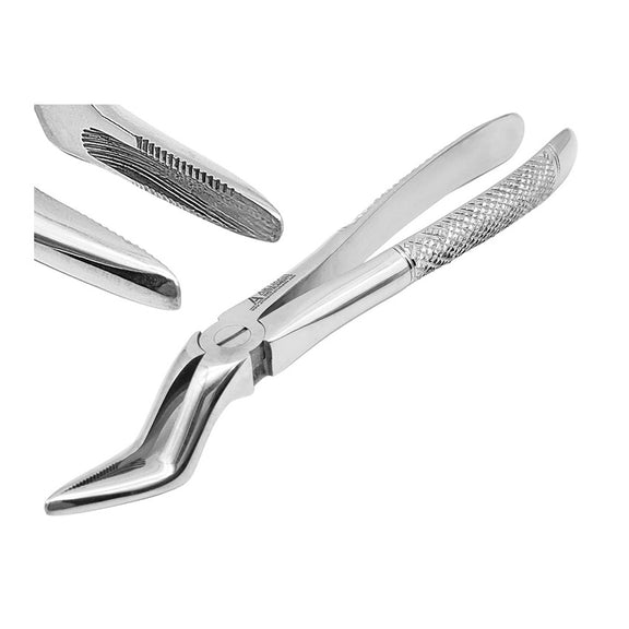 Dental Extraction Forceps #51 Upper Bayonet for Roots | Artman – Artman ...