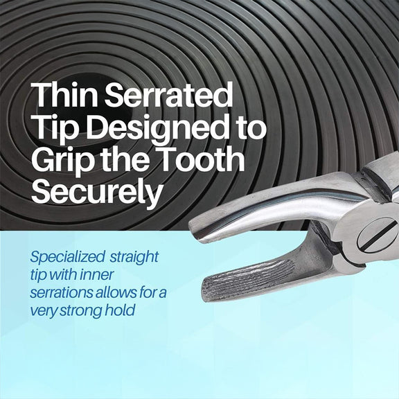 Dental Extraction Forceps #7 (Upper Premolar) | Artman Intruments