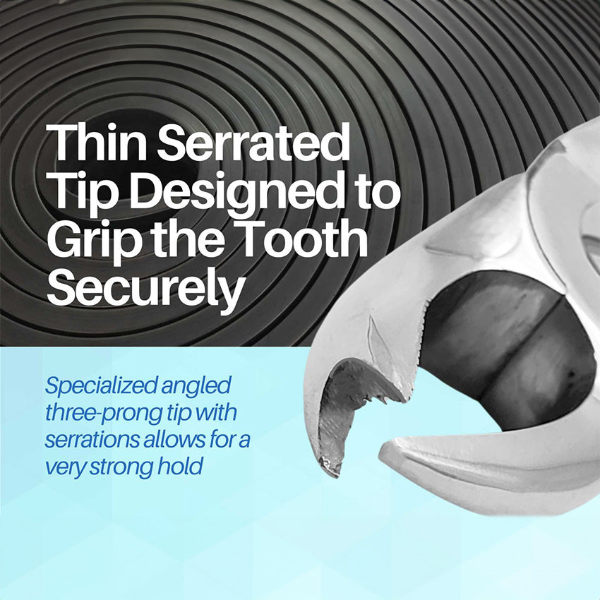 Dental Extraction Forceps #89 – Upper Right Molar Tool | Artman Instruments