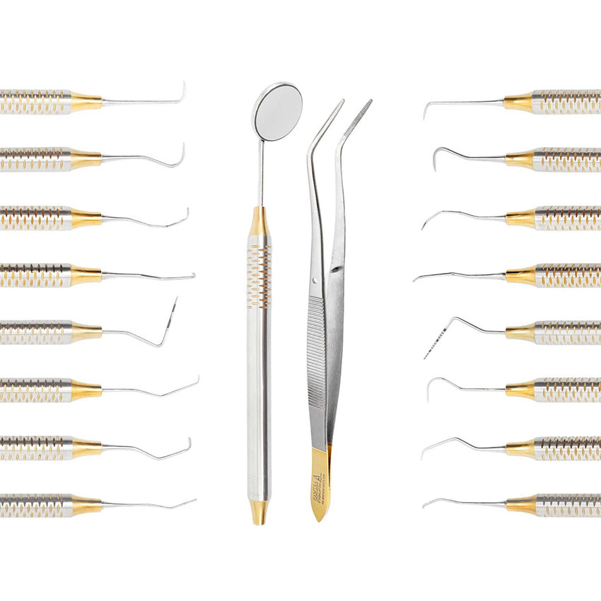 Dental Hygienist Instruments Tool Kit | Professional Cleaning Set | Artman